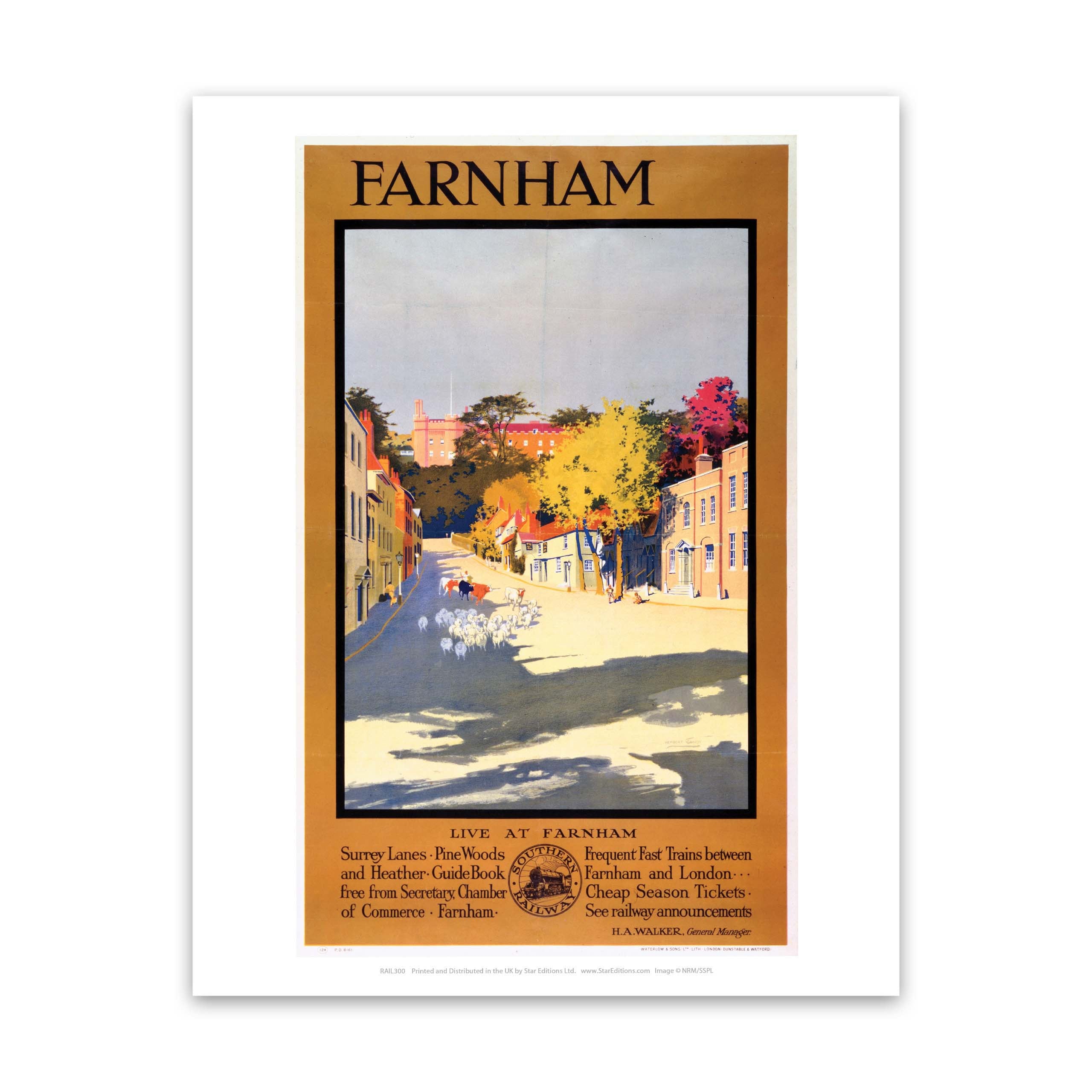 Live at Farnham Art Print – Railway Posters